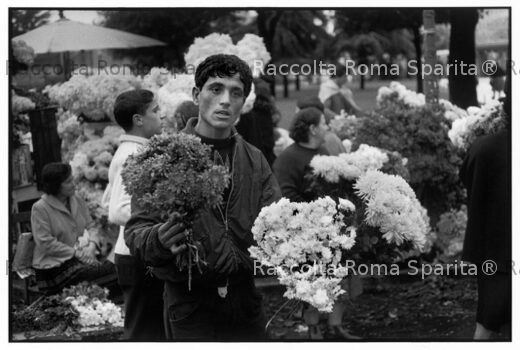 Roma Sparita - Fioraio